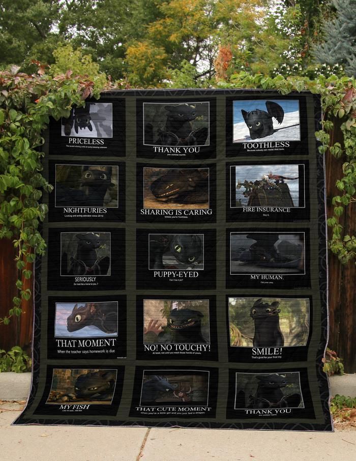 50 Shades Of Toothless Fabric Quilt - Themarketfarmer