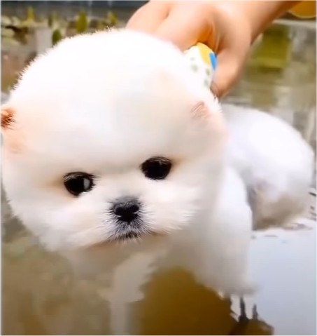 How to get an image from Backblaze bucket? : r/backblaze