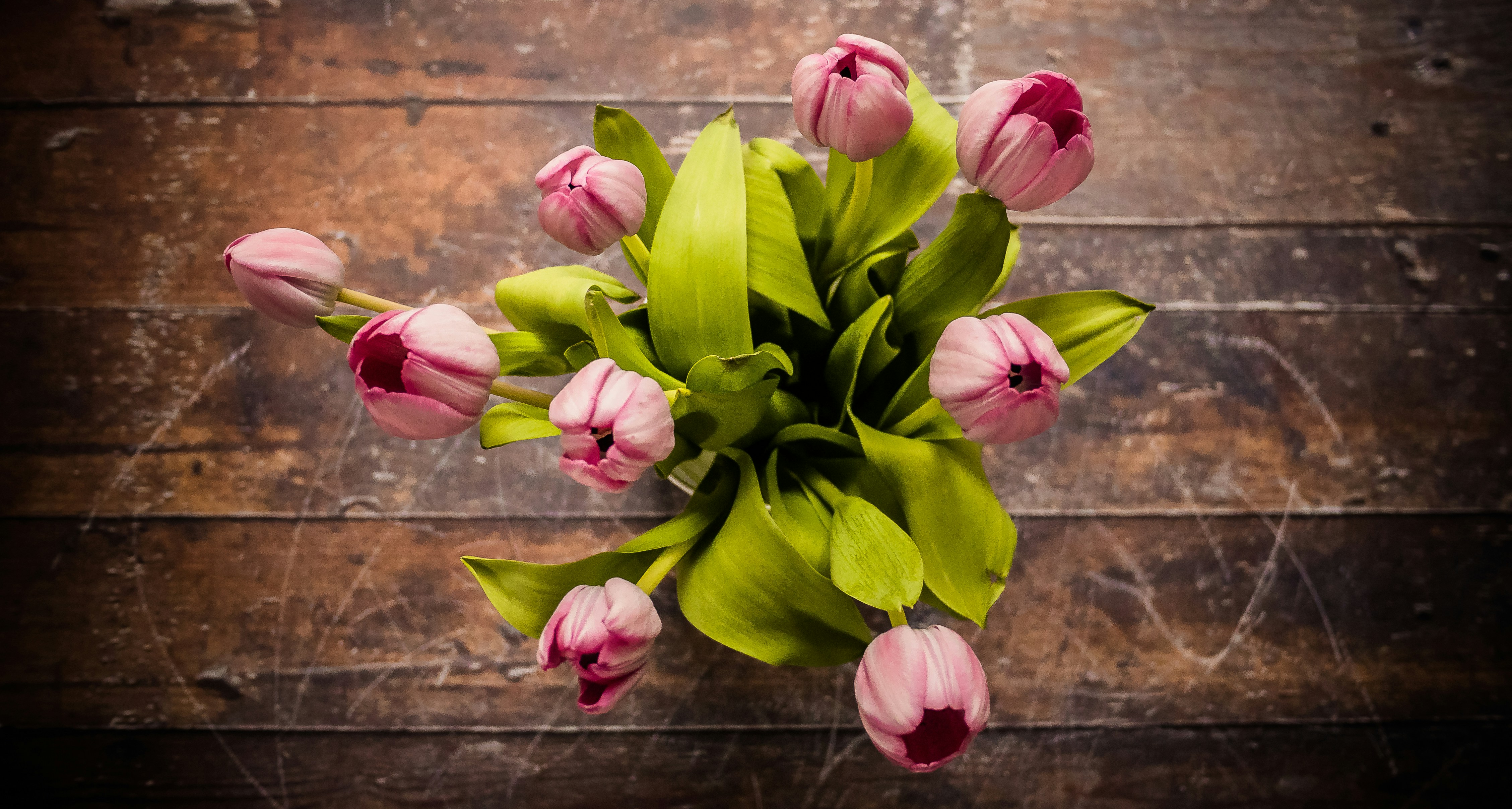 Celebrations of Life Decorations: Creating Beautiful Tributes to Honor ...